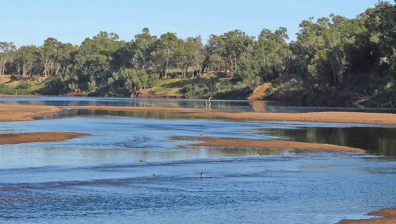 Submission on the Department of Water and Environmental Regulation (WA ...